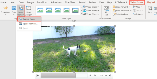 How to Set the Preview Image for a Video in Microsoft PowerPoint