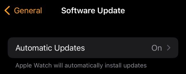 12 Tips to Make the Most of Your New Apple Watch