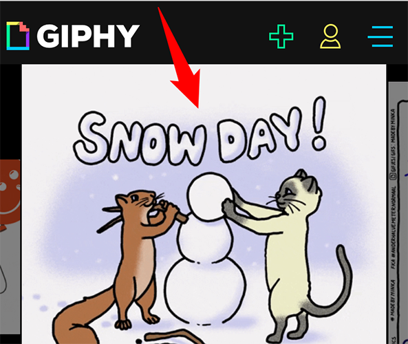 How to Save GIFs on iPhone