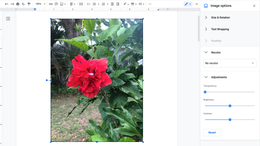 How To Crop Rotate And Adjust Images In Google Docs