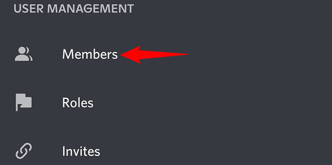 How to Make Someone Admin on Discord