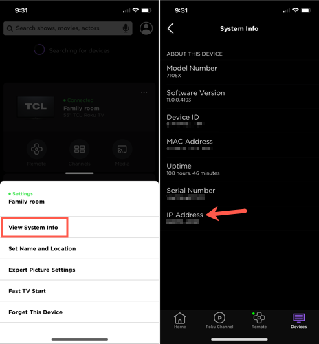 How to Find Your Roku's IP Address