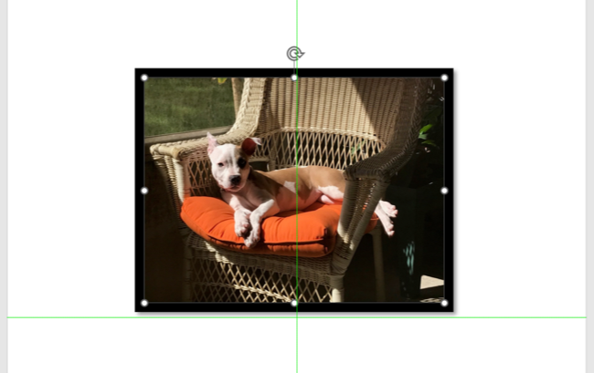 How to Perfectly Align Objects and Images in Microsoft Word