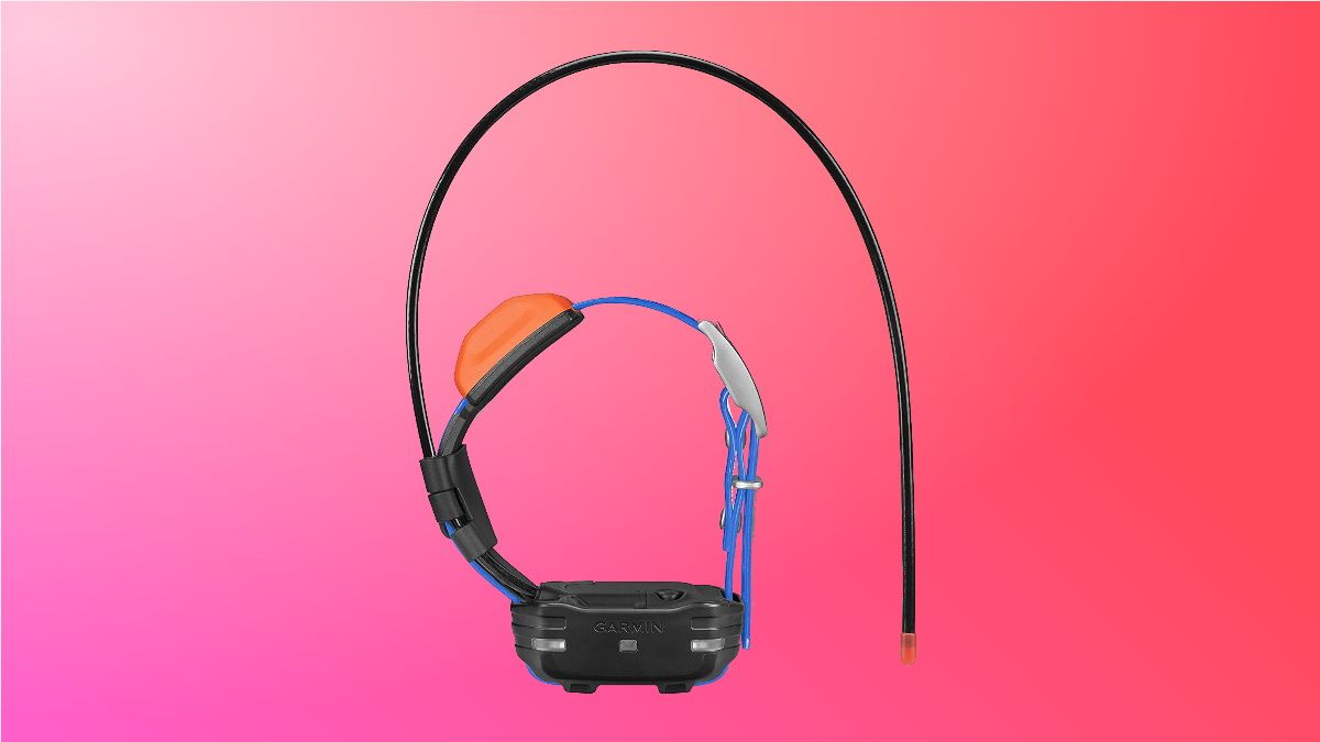 The Best GPS Dog Trackers of 2023