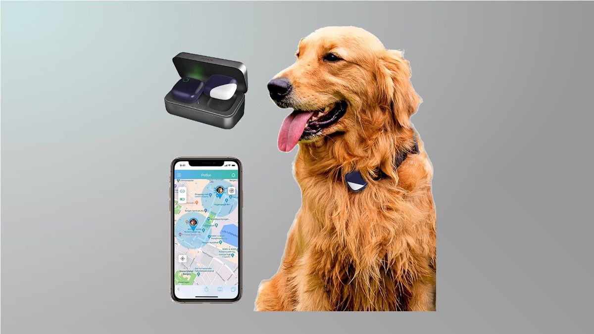 The Best GPS Dog Trackers of 2023