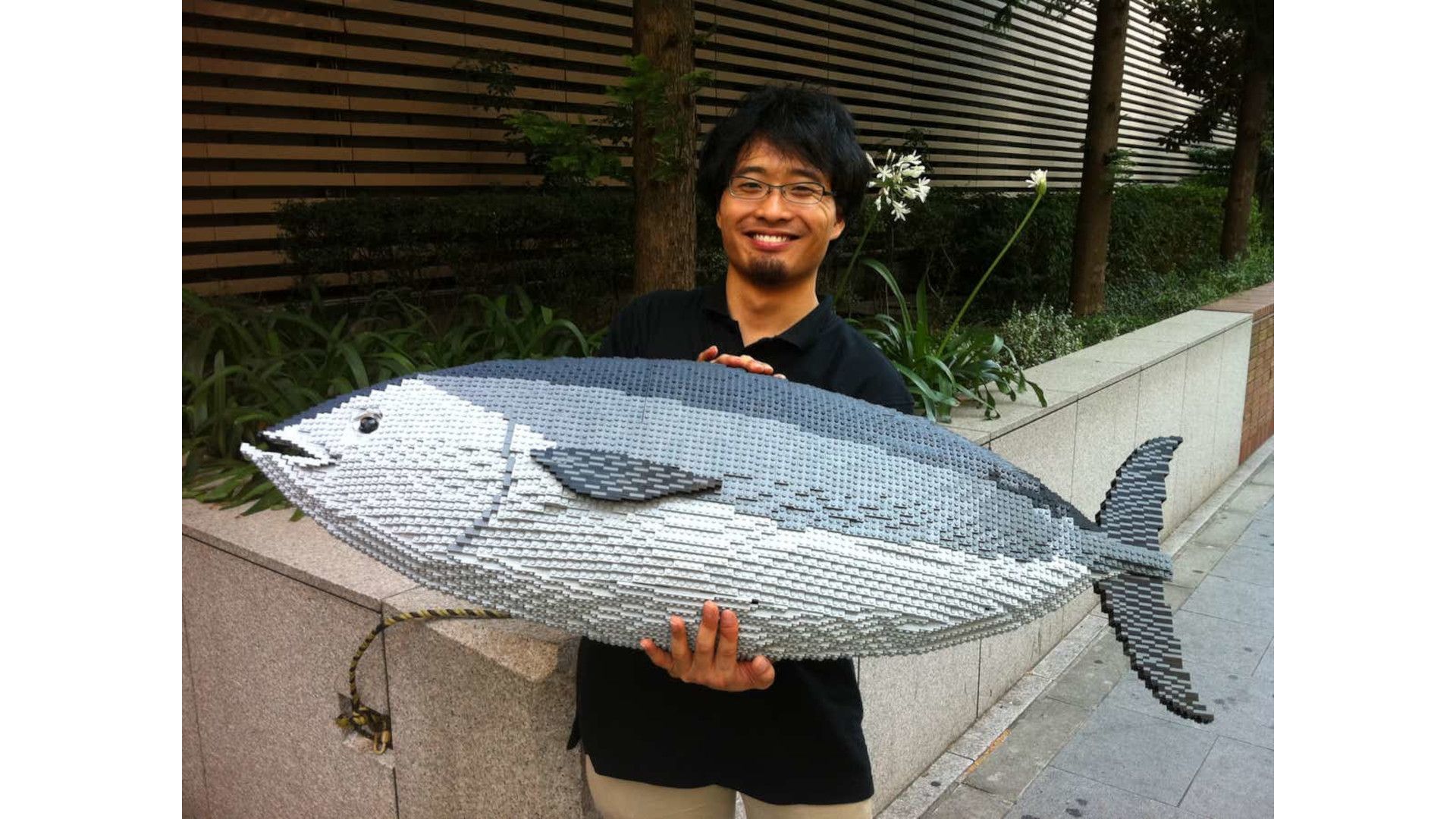 Could You Become a LEGO Certified Professional?