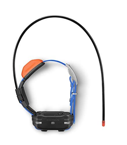 The Best GPS Dog Trackers of 2023