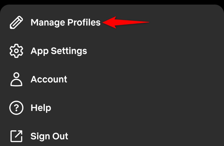 Can You Set A Custom Profile Picture On Netflix
