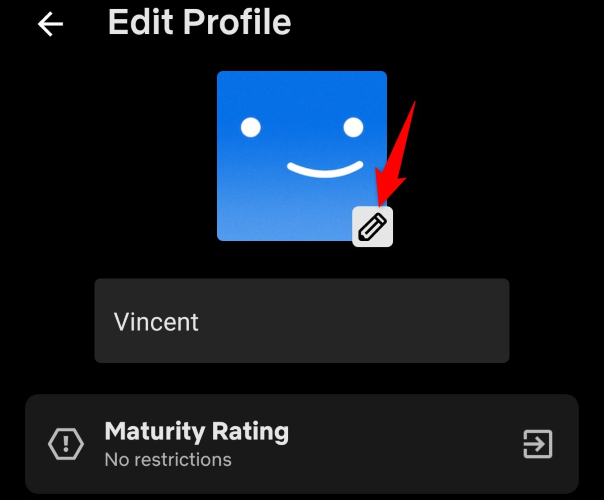 Can You Set A Custom Profile Picture On Netflix