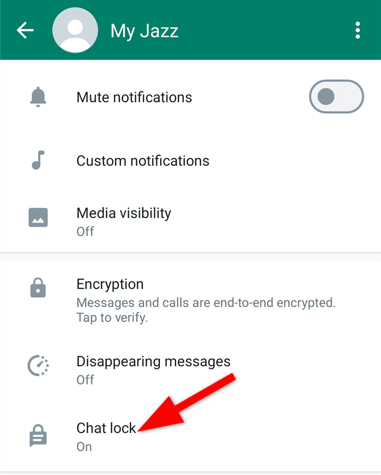 How to Lock a Chat on WhatsApp