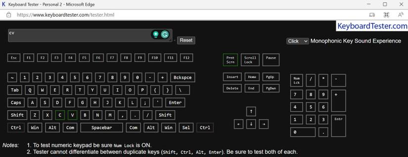 Copy-Paste Not Working on Windows 11? 10 Ways to Fix It