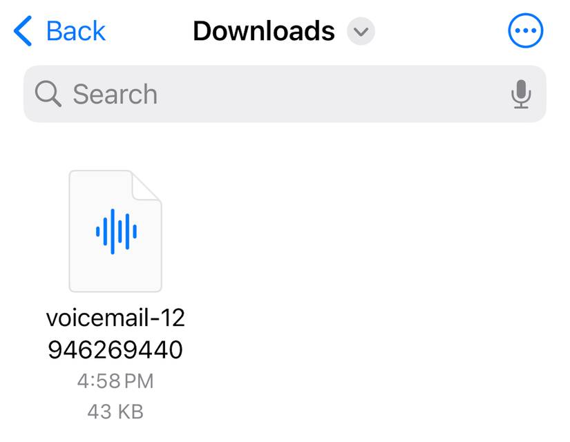 How to Retrieve Deleted Voicemails on iPhone
