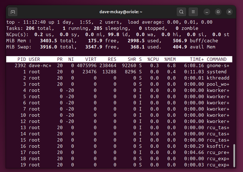 How to Find Resource-Hogging Processes Using the Linux Command Line