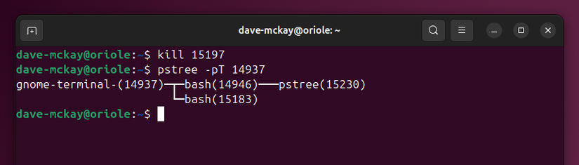 How to Manage Linux Processes Using ps, kill, and pkill