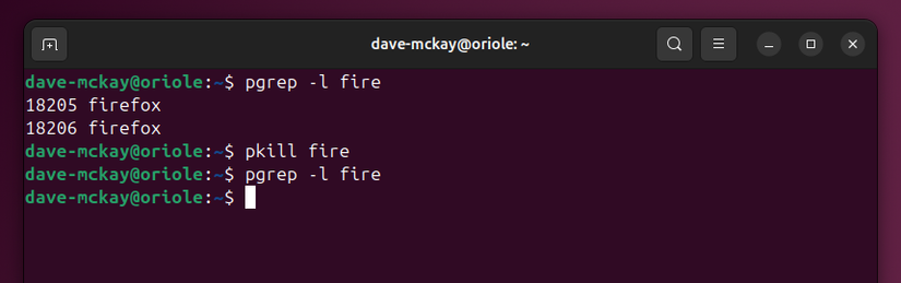How to Manage Linux Processes Using ps, kill, and pkill
