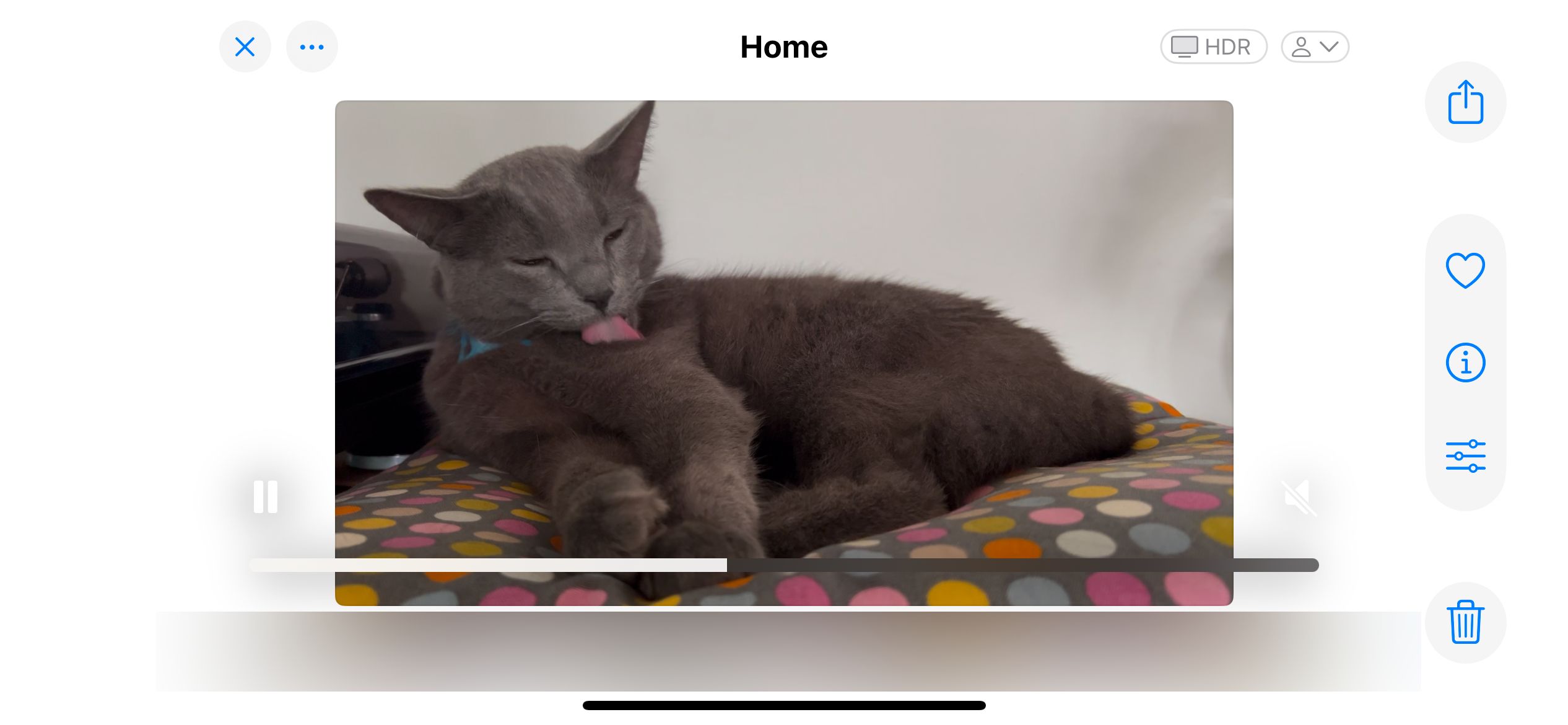How to Loop a Video on iPhone