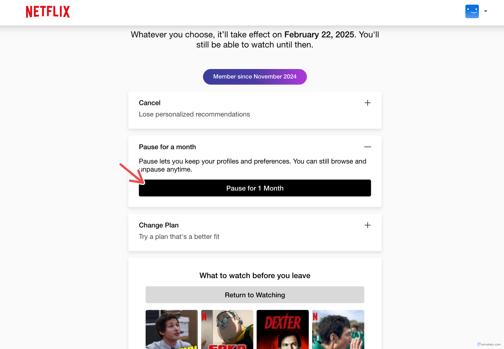 How to Cancel or Pause Your Netflix Subscription When Needed