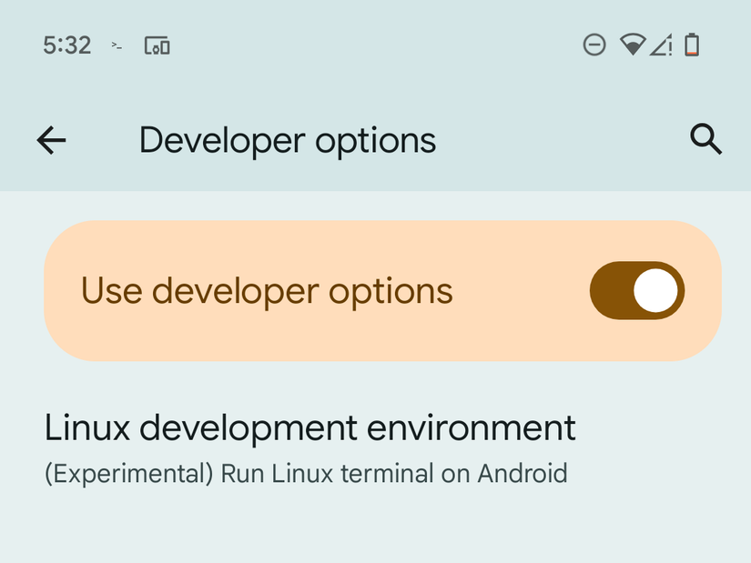 Every Android Developer Option Explained
