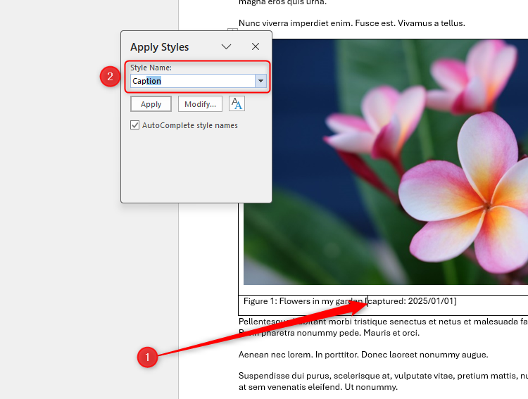 My Secret Method for Dealing With Pictures in Microsoft Word