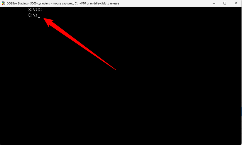 This Is My Favorite Way to Play DOS Games on Windows 11