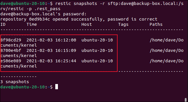 How To Use The Restic Backup Program On Linux