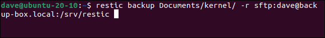 How To Use The Restic Backup Program On Linux