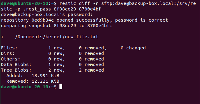 How To Use The Restic Backup Program On Linux