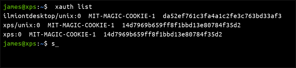 How to Run GUI Applications in a Docker Container