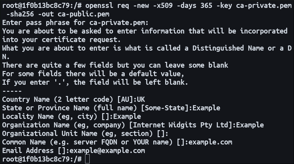 How to Secure Docker's TCP Socket With TLS