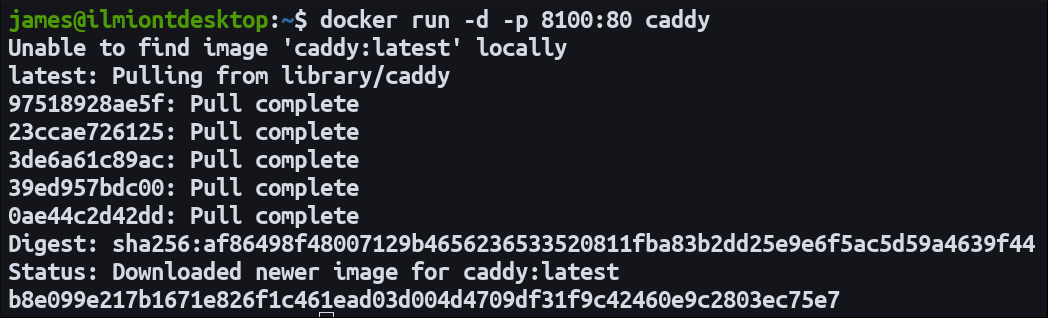 How to Deploy a Caddy Web Server With Docker